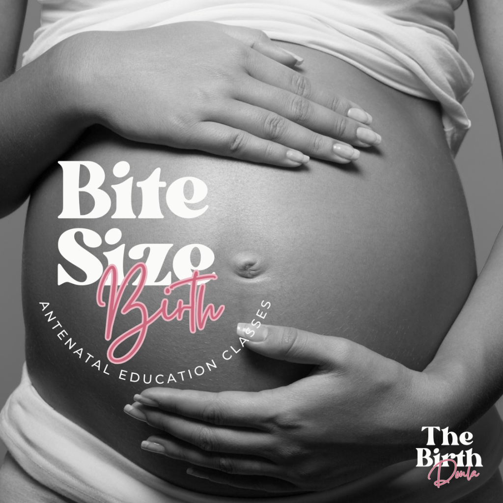 Bite Size Birth Antenatal Classes – The Birth Doula